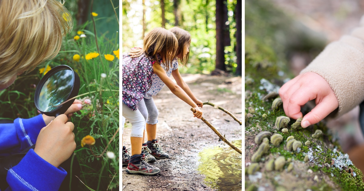 Family Nature Walk Tips And Activities Fireflies And Mud Pies family-nature-walk-tips-and-activities-fireflies-and-mud-pies