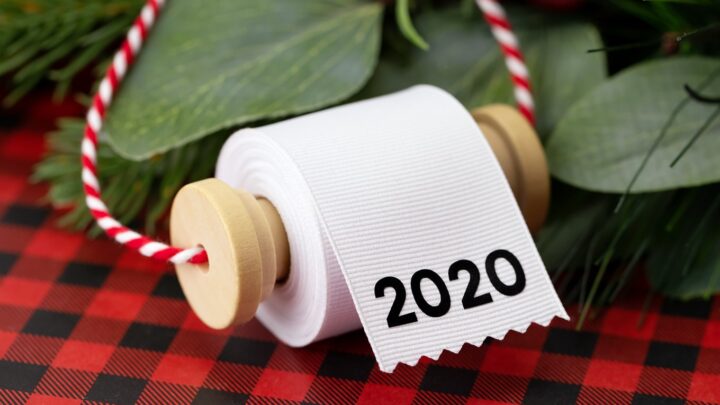 Toilet Paper Ornament Fireflies and Mud Pies