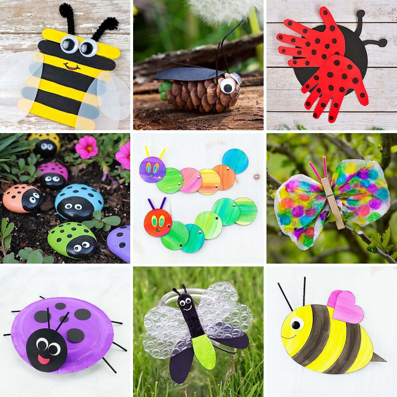 Insectos Para Ninos Insectos Para Ninos