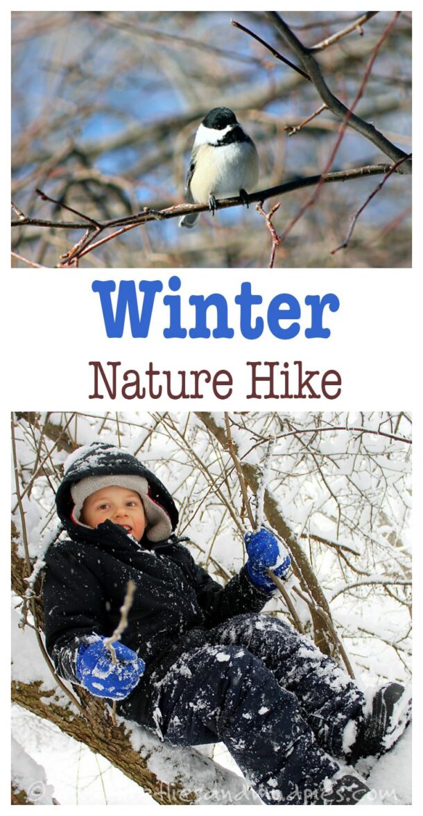 Winter Nature Hike | Fireflies and Mud Pies